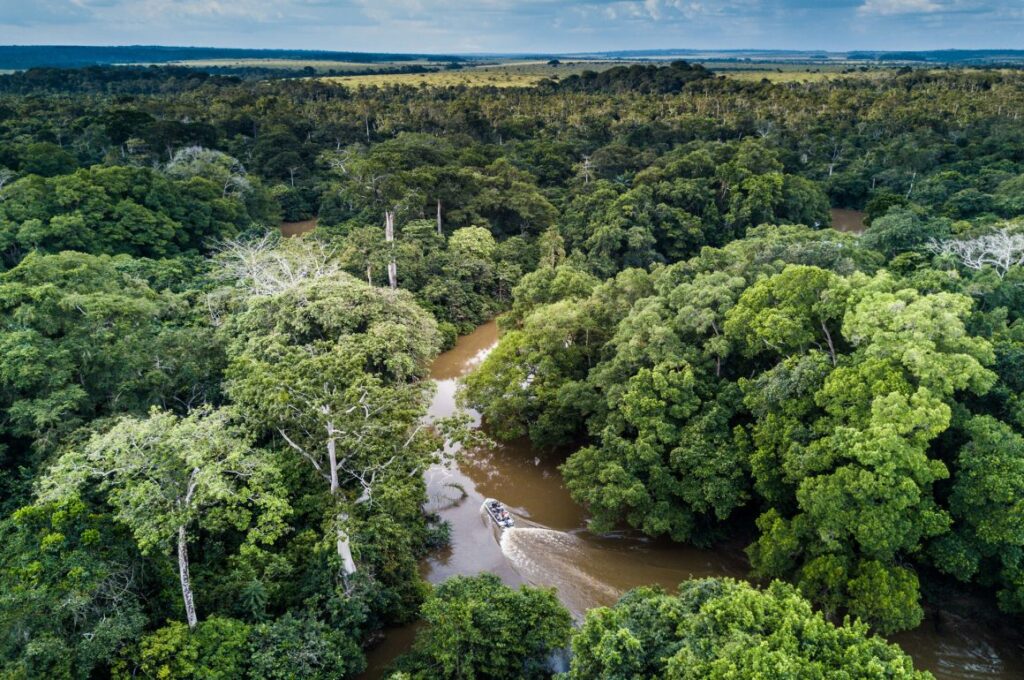 Top Five Biggest Rainforests In The World - Top Five Tens